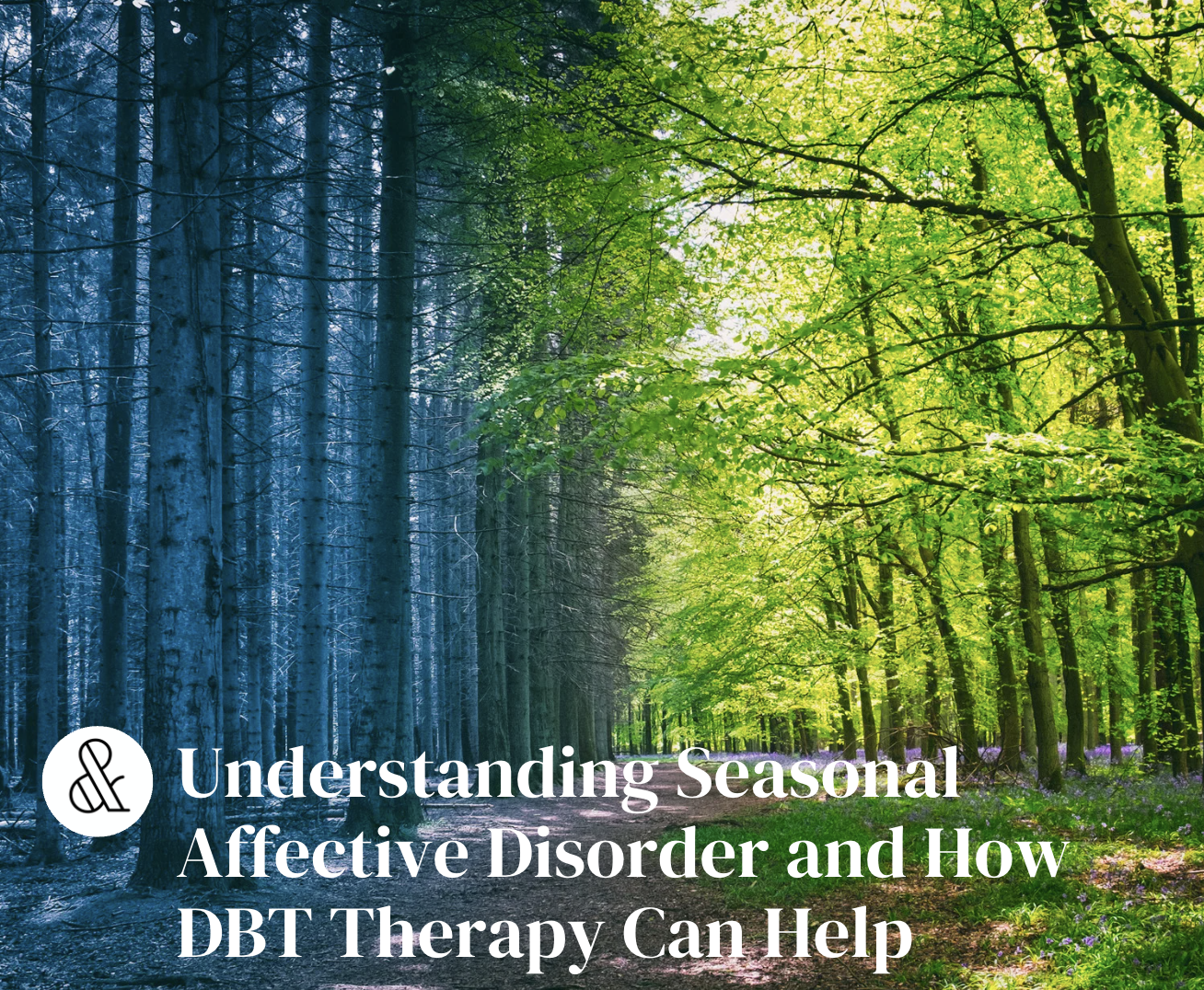 Understanding Seasonal Affective Disorder and How DBT Therapy Can Help ...